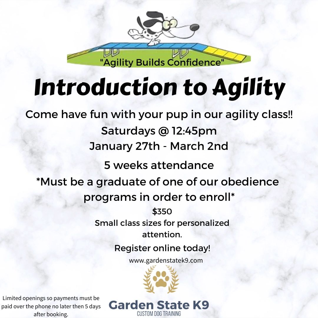 Introduction to Agility January 27th